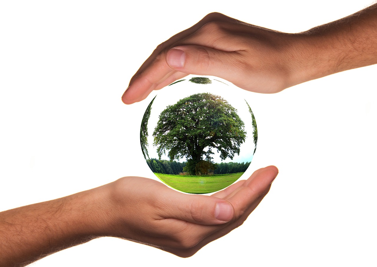 ISO 14004 Revision Now Published - The Auditor