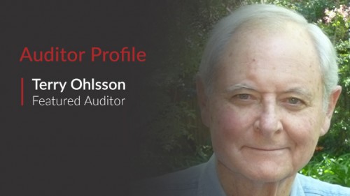 auditor profile template - The Auditor