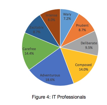 Figure 4: IT Professionals - The Auditor