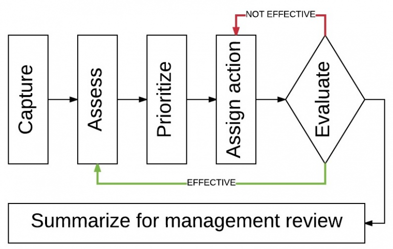 Fig 2 - risk mitigation process - The Auditor
