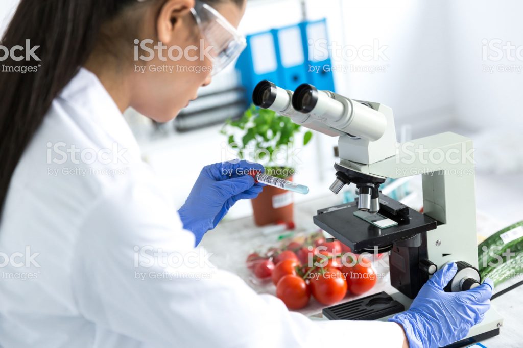 Female microbiologist using microscope in laboratoty , examinating ...