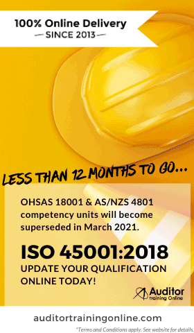 Discard the Work Instructions - The Auditor