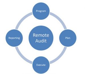 Auditing Your QMS During Pandemic Times - The Auditor