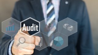 Internal GMP Audits - The Auditor