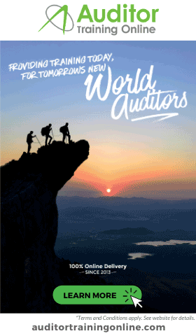 The Audit Interview - The Auditor