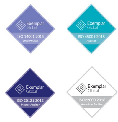 Digital Badges FINAL FINAL - The Auditor