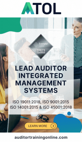 Honing Your Audit Interview Skills - The Auditor