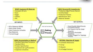 Instructions for Creating a Turtle Diagram - The Auditor