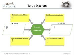 Instructions for Creating a Turtle Diagram - The Auditor