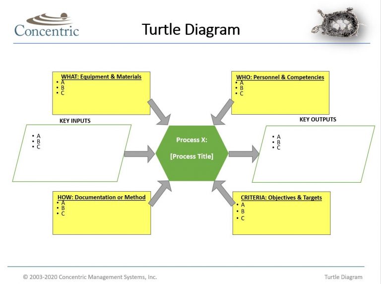 Instructions for Creating a Turtle Diagram - The Auditor