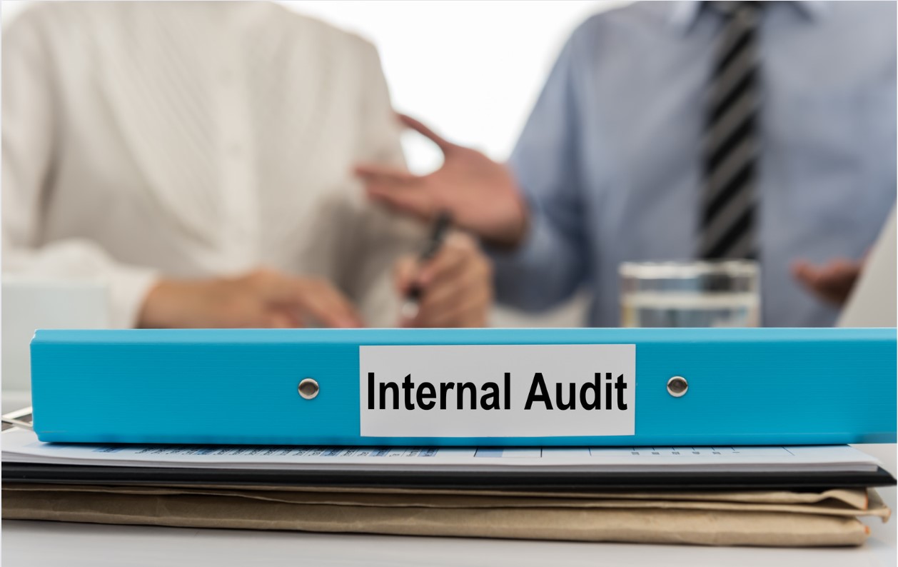 Discover the Key to Business Success: Internal Audits - The Auditor