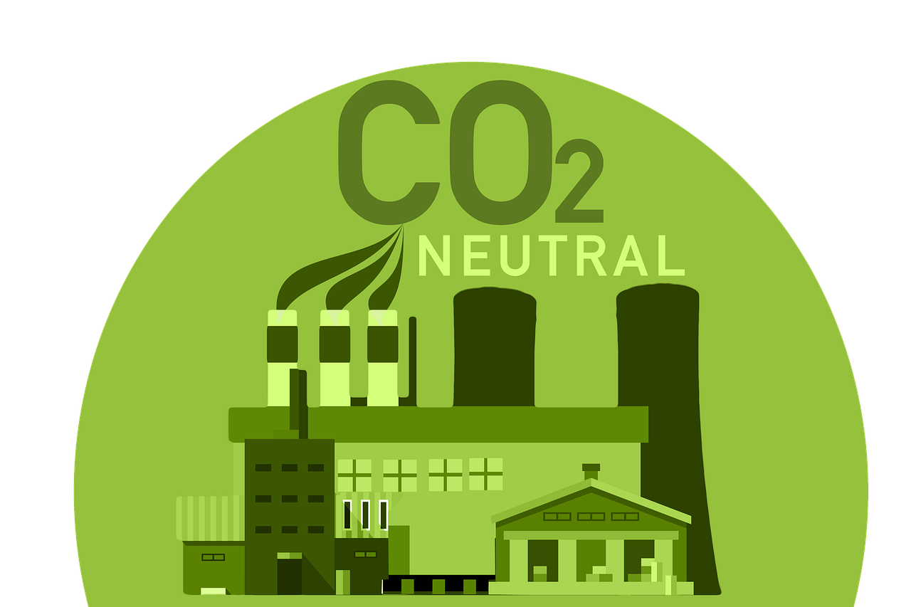 Net Zero, Carbon Neutrality, and Global Standards - The Auditor