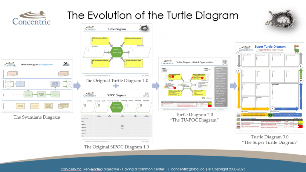Evolution+of+turtle+diagram - The Auditor