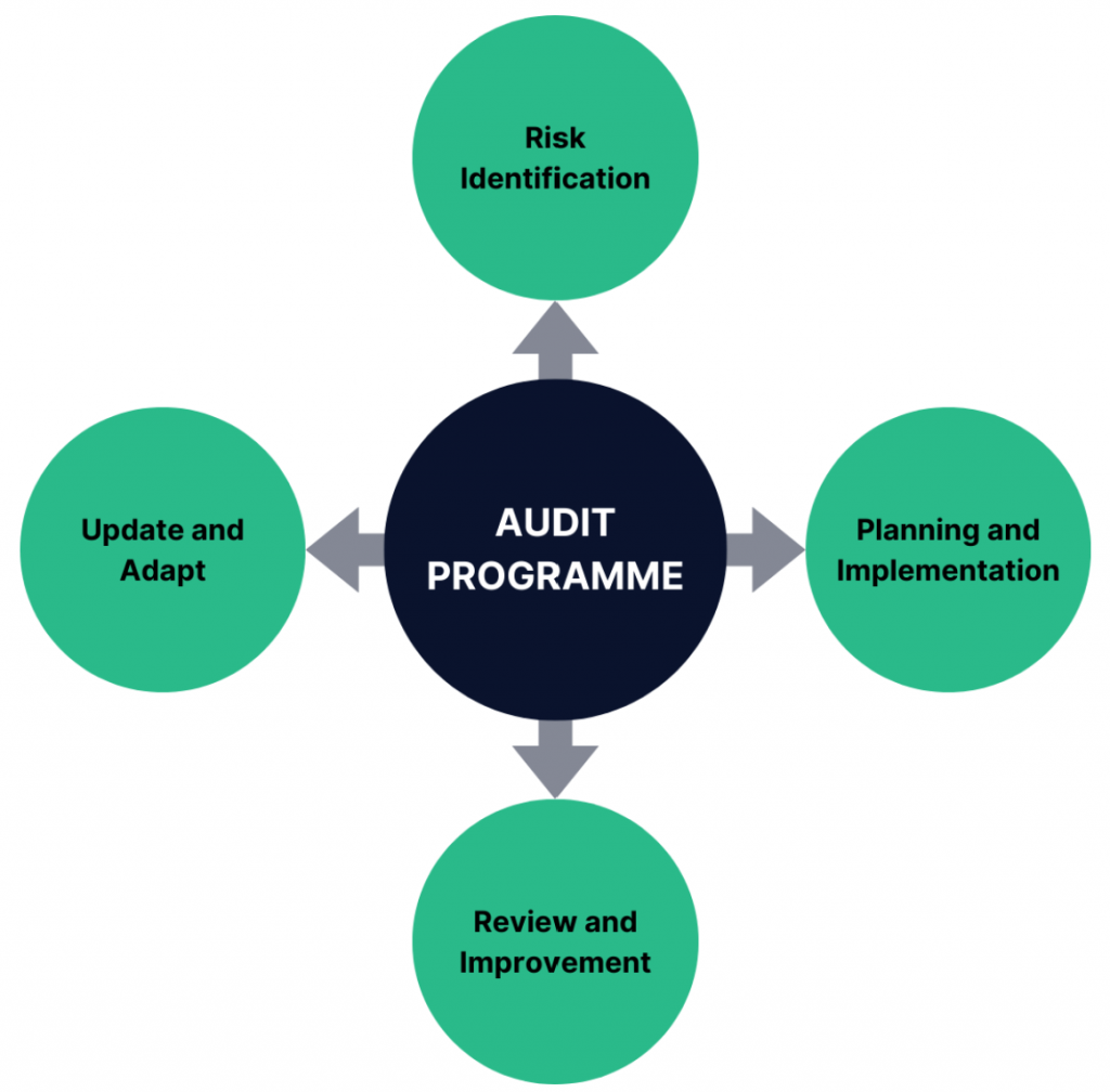 Navigating the Audit Programme Maze - The Auditor