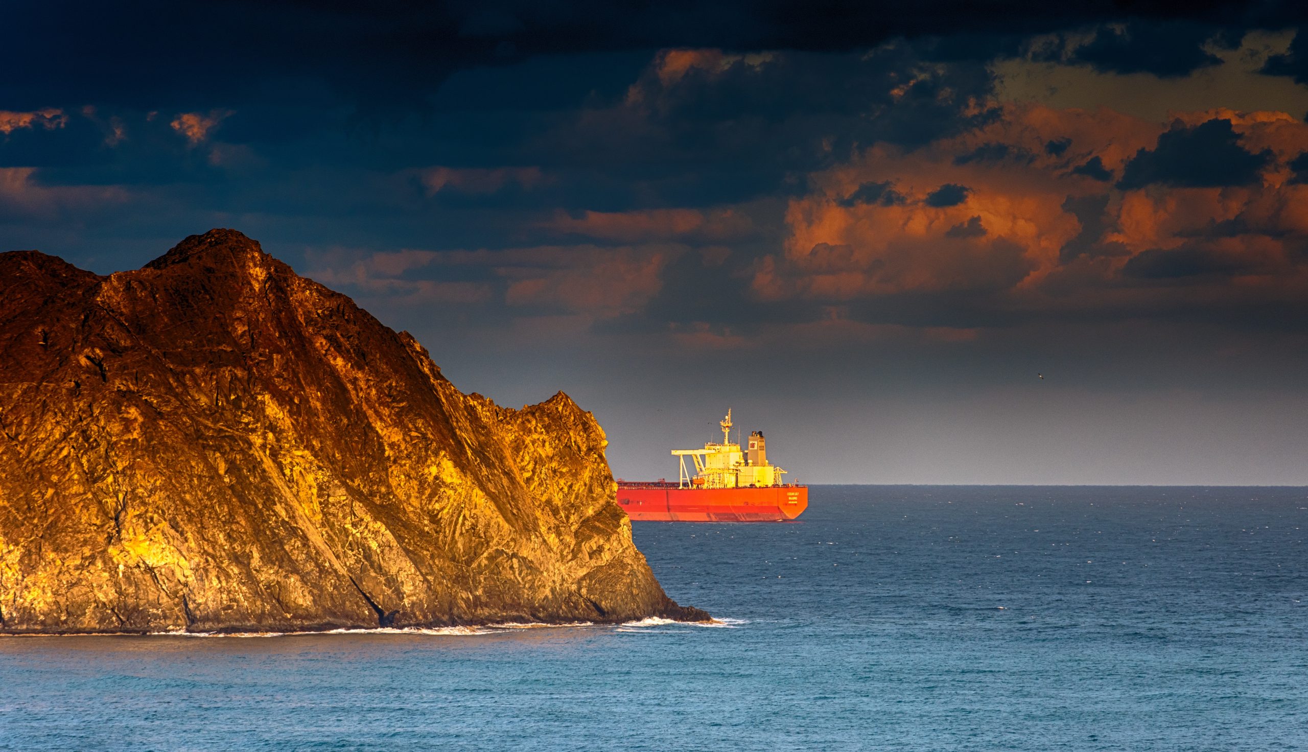 What the ISM Code Can Teach Us About Risk: Part One - The Auditor
